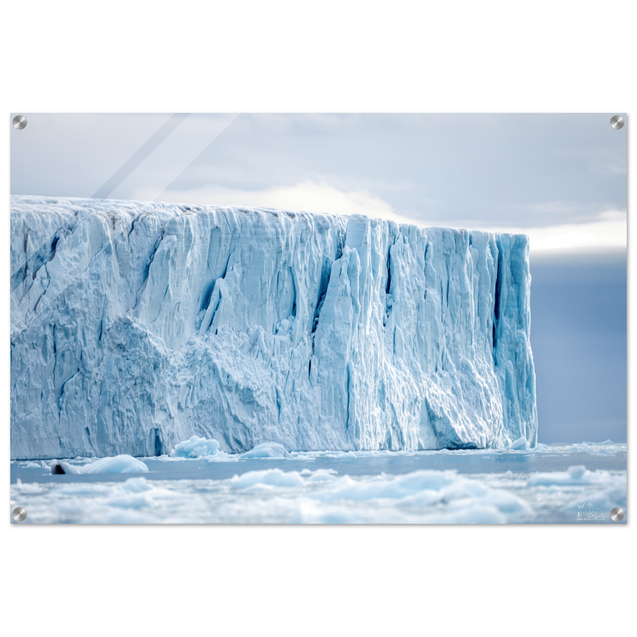 Ice Edge Brasvellbreen - Wild-Encounters