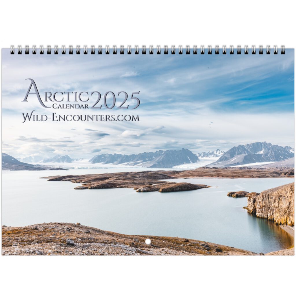 Arctic calendar 2025 - Wild-Encounters